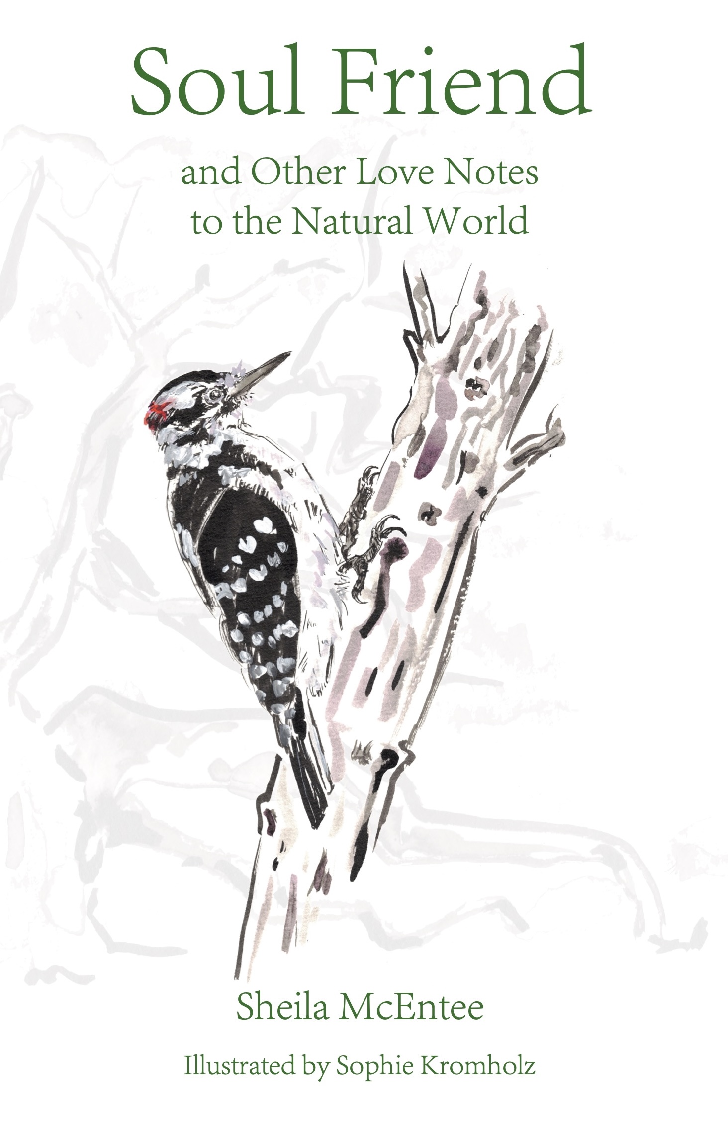 Sheila McEntee – Writer and Naturalist