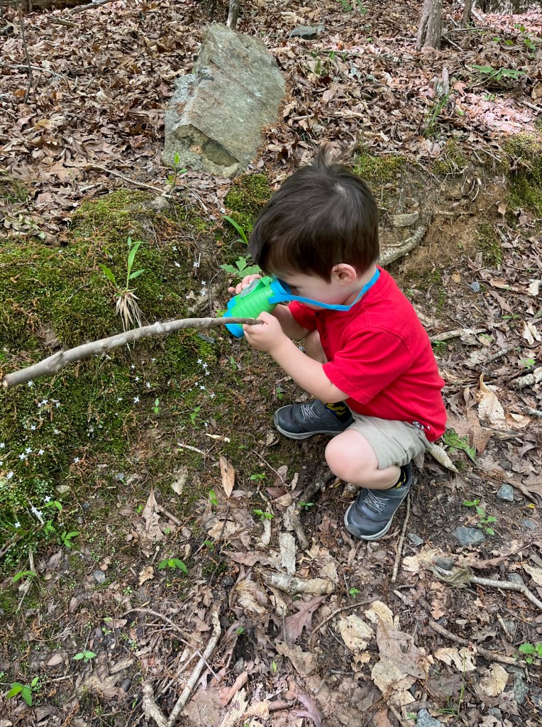 Blog – Sheila McEntee